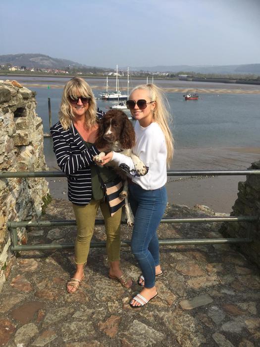 Introducing Gill :: Inn-the-dog-house